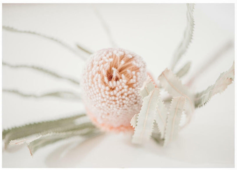 [ Living Room ] – O Gosh Shop